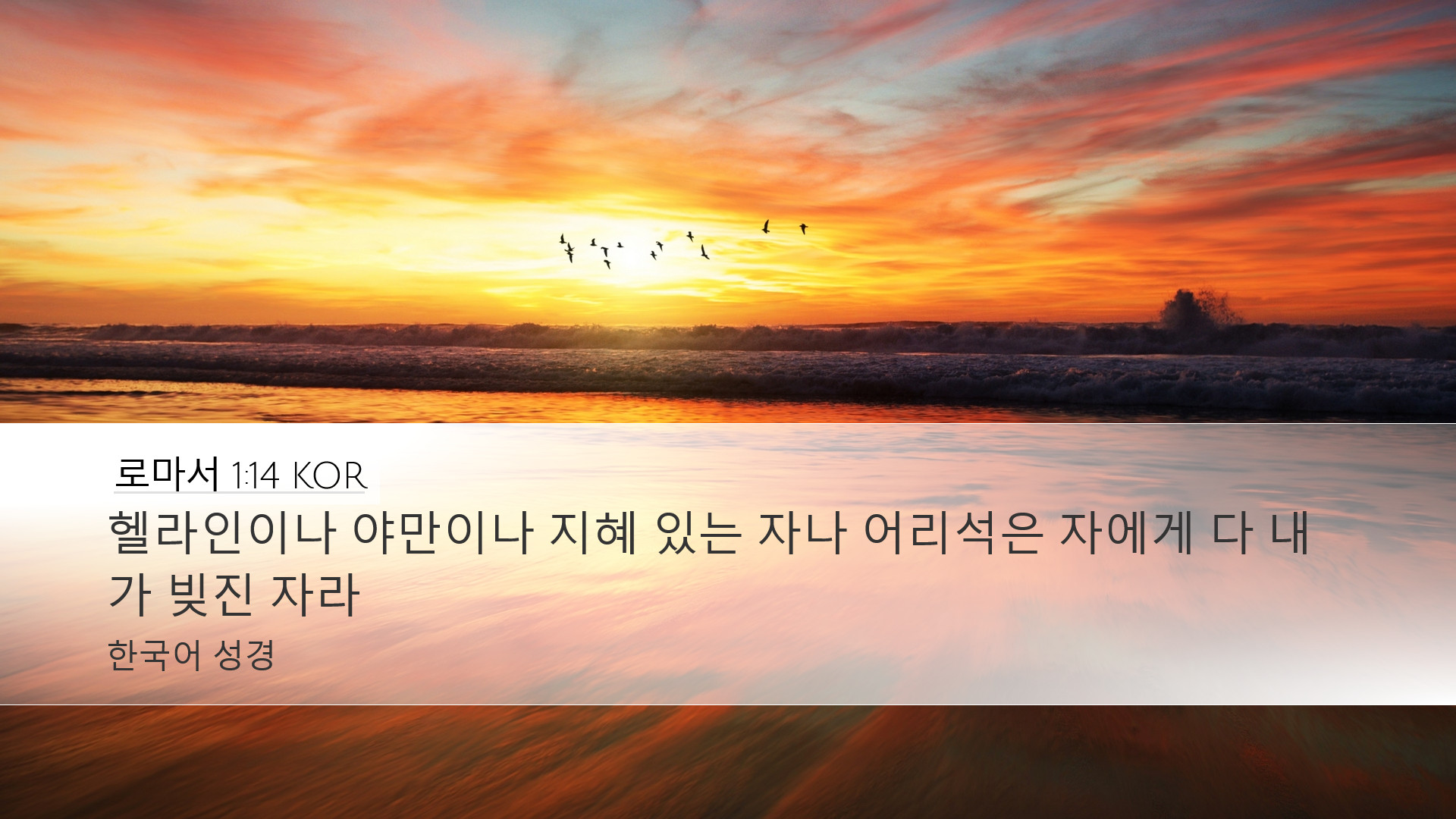 로마서 1:14 KOR Desktop Wallpaper - 헬라인이나 야만이나 지혜 있는 자나