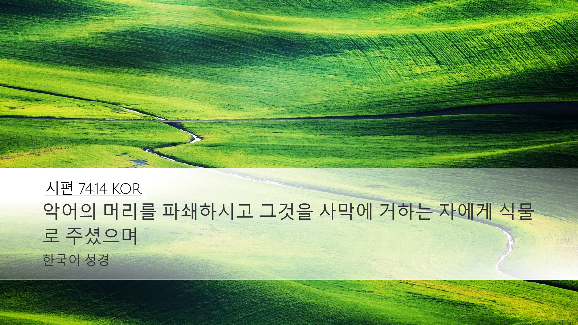 시편 74:14 KOR Desktop Wallpaper - 악어의 머리를 파쇄하시고 그것을