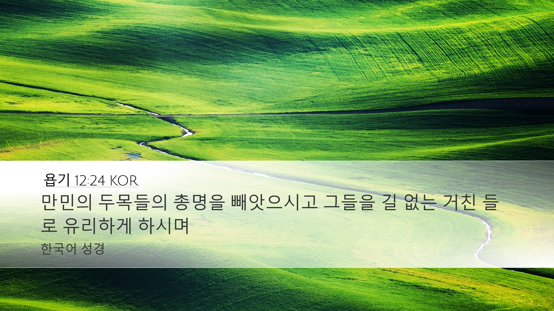 욥기 12:24 KOR Desktop Wallpaper - 만민의 두목들의 총명을 빼앗으시고