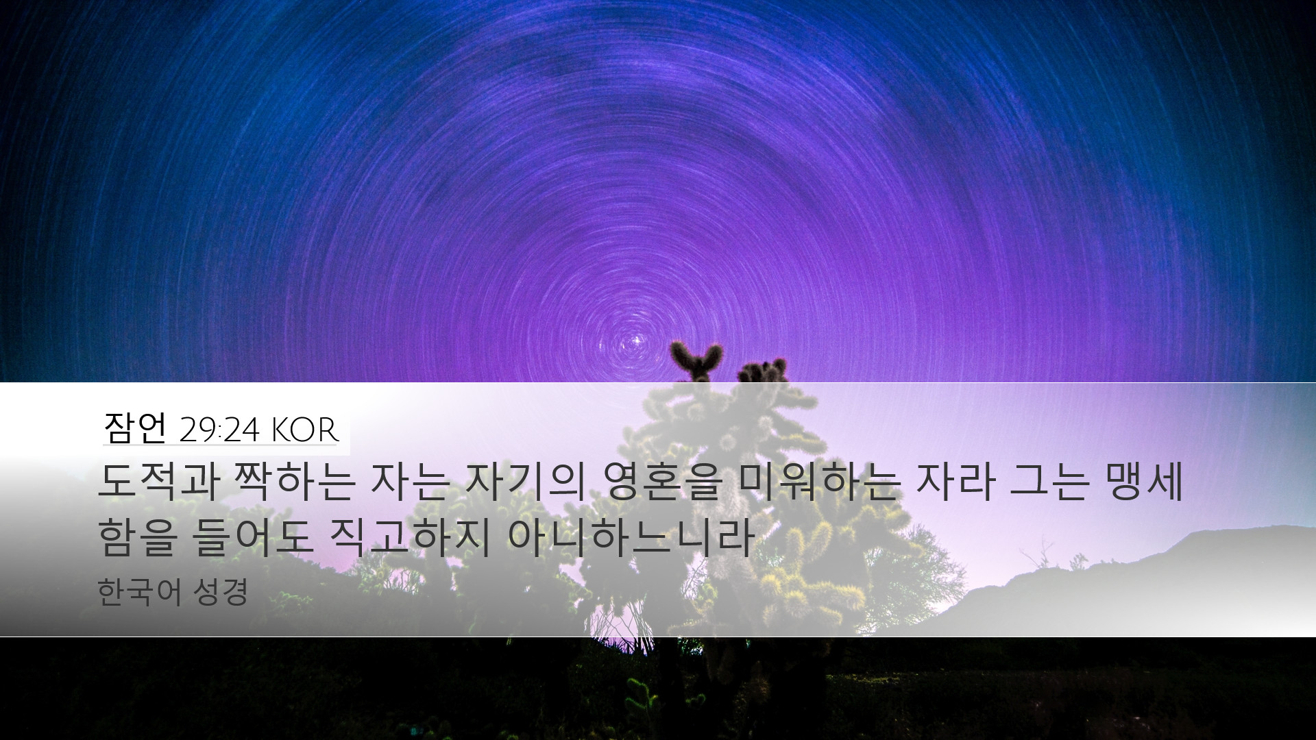 잠언 29:24 KOR Desktop Wallpaper - 도적과 짝하는 자는 자기의 영혼을