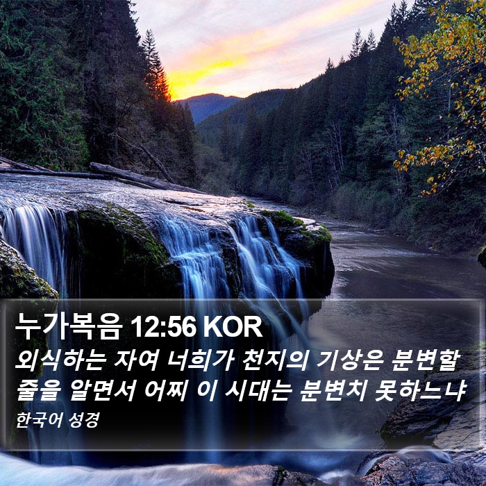 누가복음 12:56 KOR - 외식하는 자여 너희가 천지의 기상은