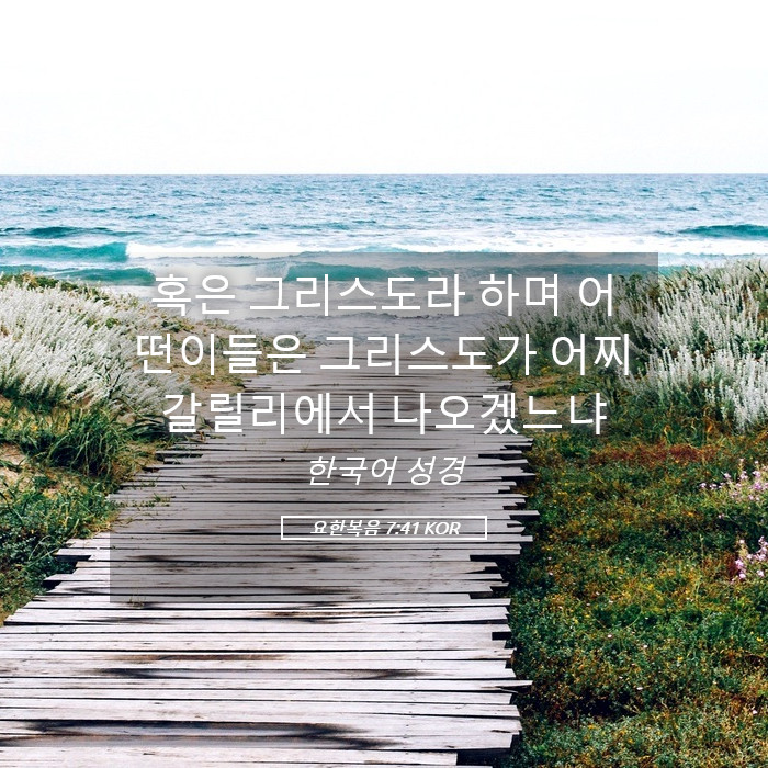 요한복음 7:41 KOR - 혹은 그리스도라 하며 어떤이들은